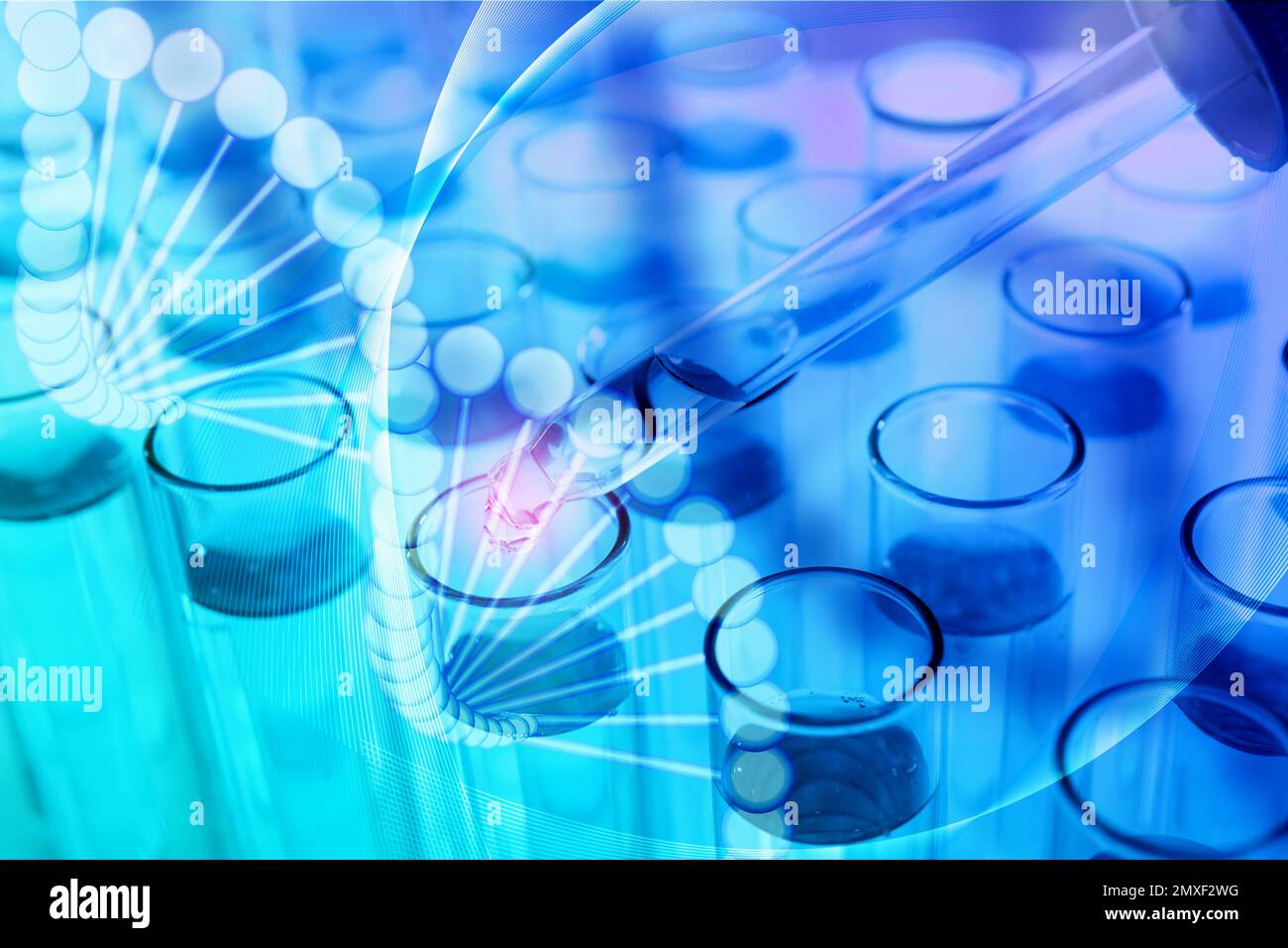 Scientist dropping reagent test tube hi-res stock photography and ...