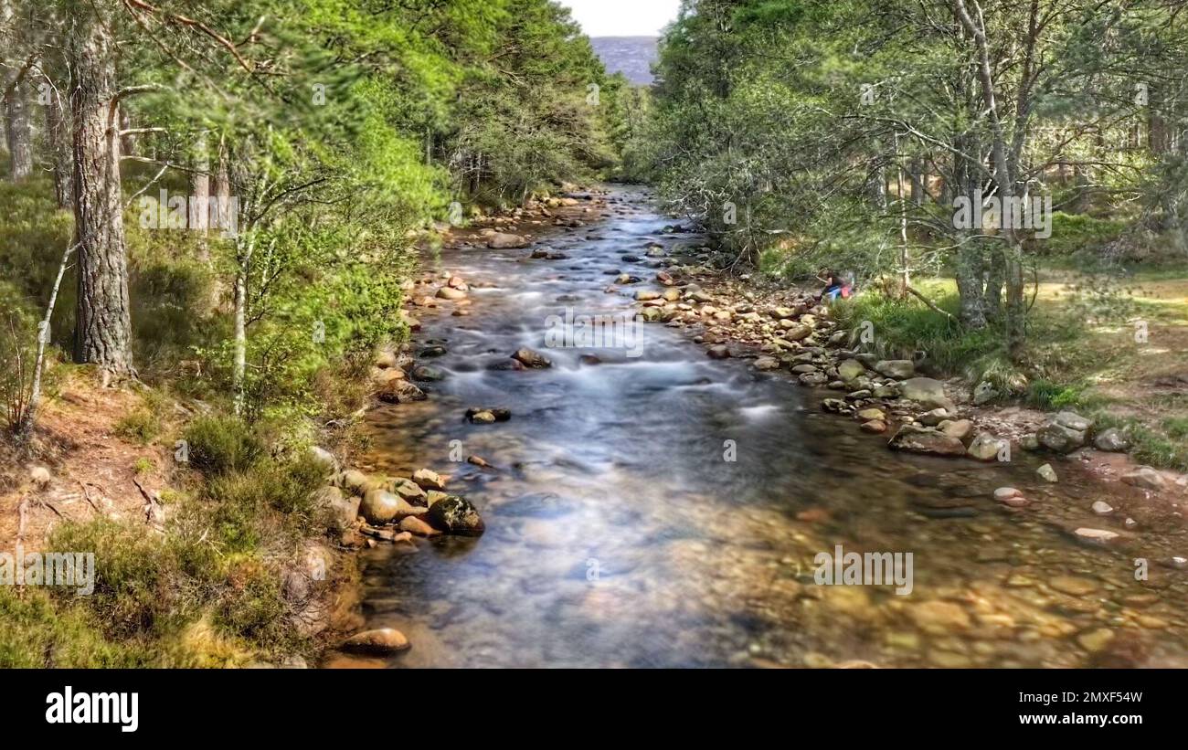 A beautiful view of a river flows over rocks through the woods Stock ...