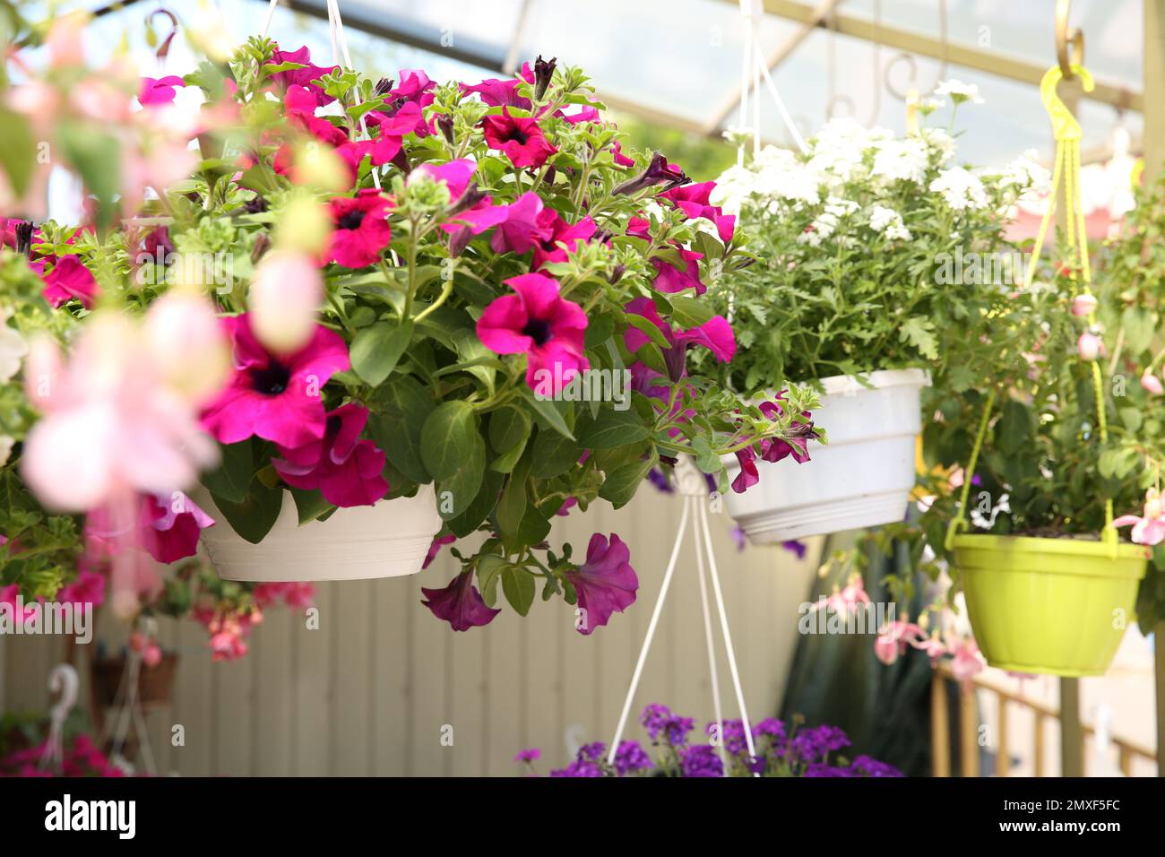 Hanging planter plant pots hi-res stock photography and images - Alamy