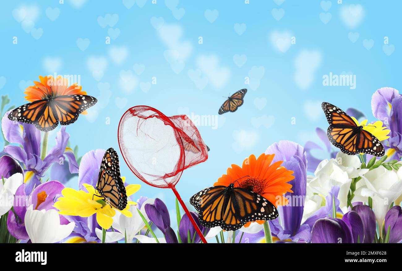 Bright net and fragile monarch butterflies in flower garden Stock Photo ...