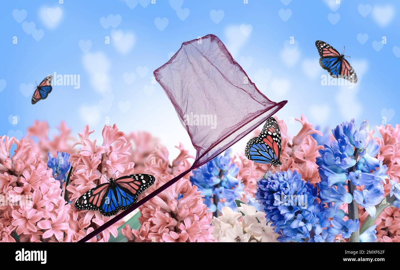 Bright net and fragile monarch butterflies in flower garden Stock Photo ...