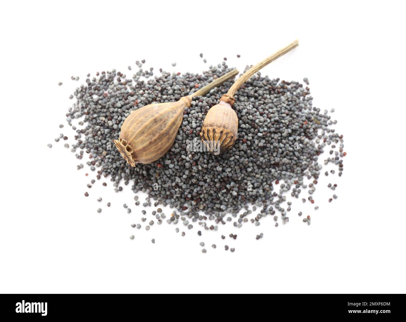 Dried poppyheads and seeds on white background Stock Photo - Alamy