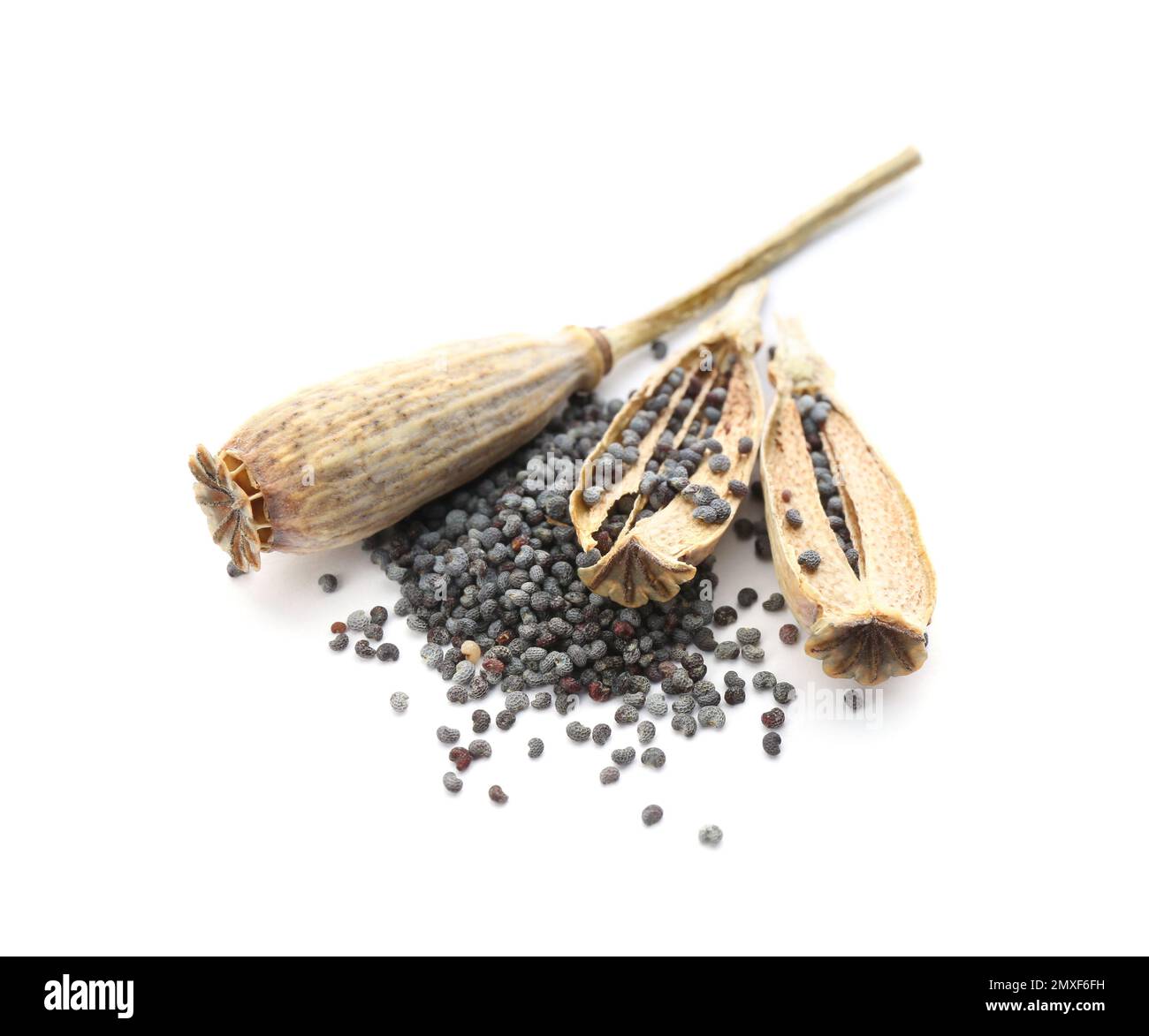 Dried poppyheads and seeds on white background Stock Photo - Alamy