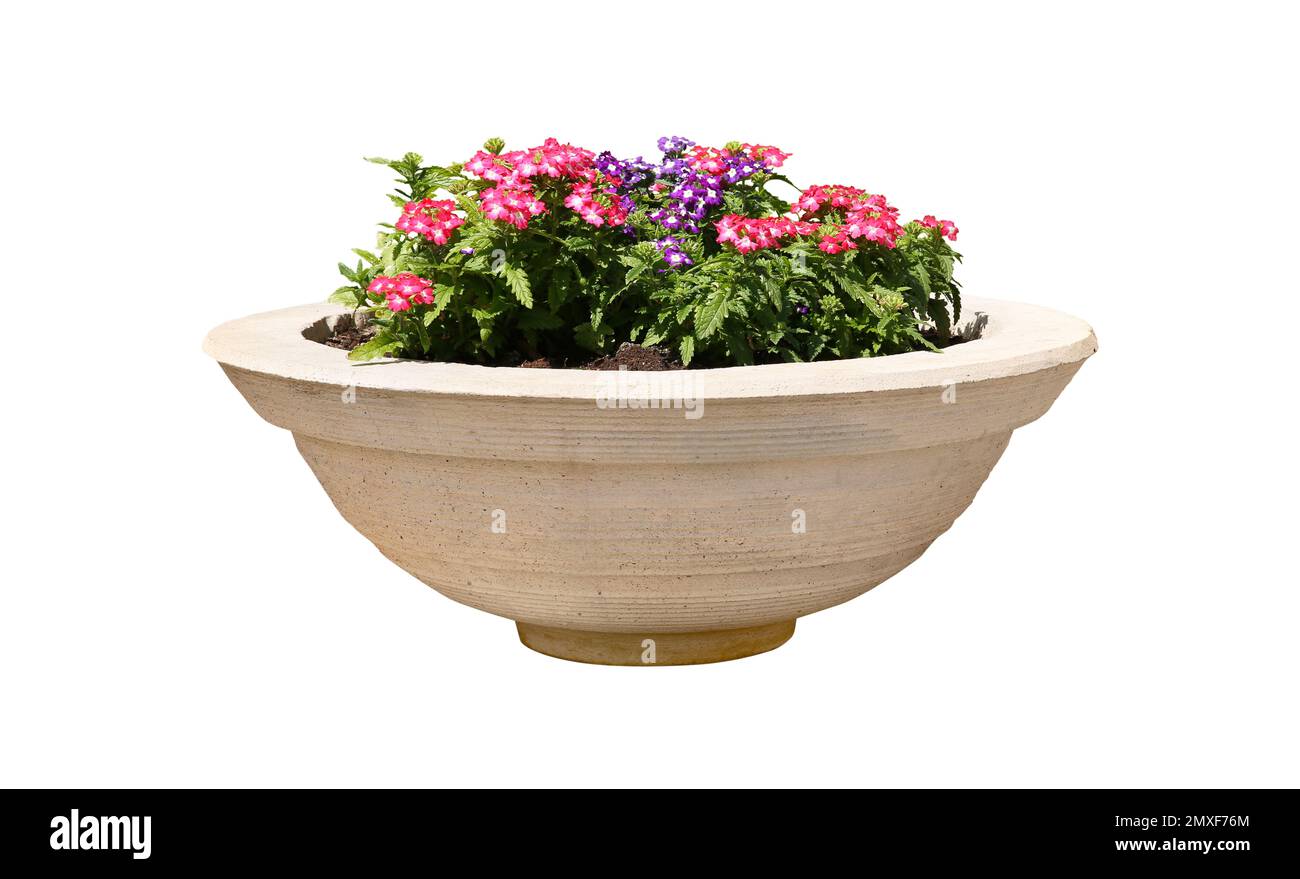 Street flowers in pots Cut Out Stock Images & Pictures - Alamy