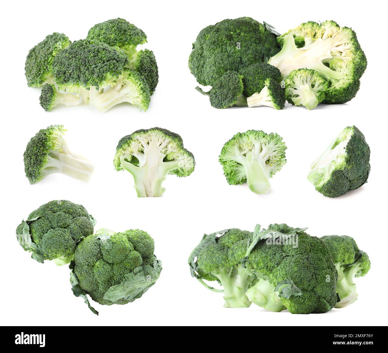 Set of fresh green broccoli on white background Stock Photo - Alamy
