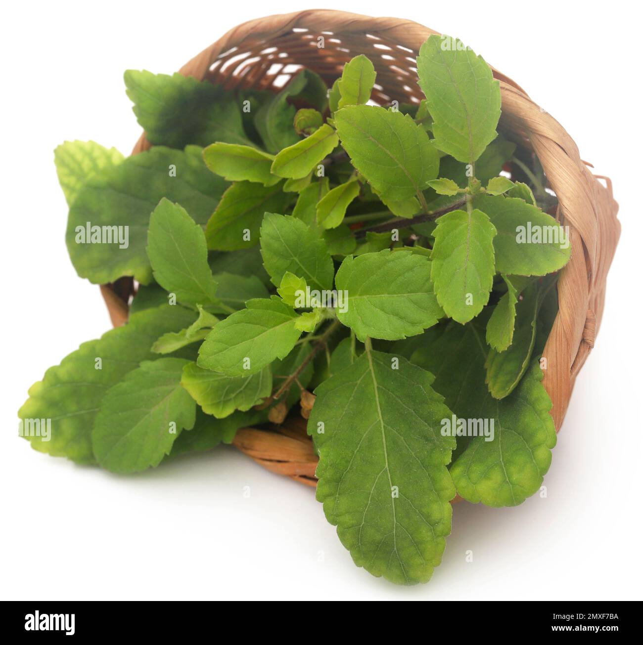 Medicinal tulsi leaves on wooden surface Stock Photo - Alamy