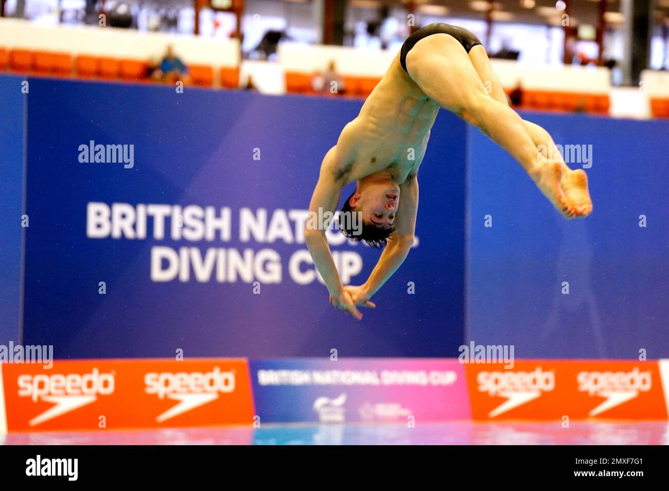 2023 british diving cup hi-res stock photography and images - Alamy