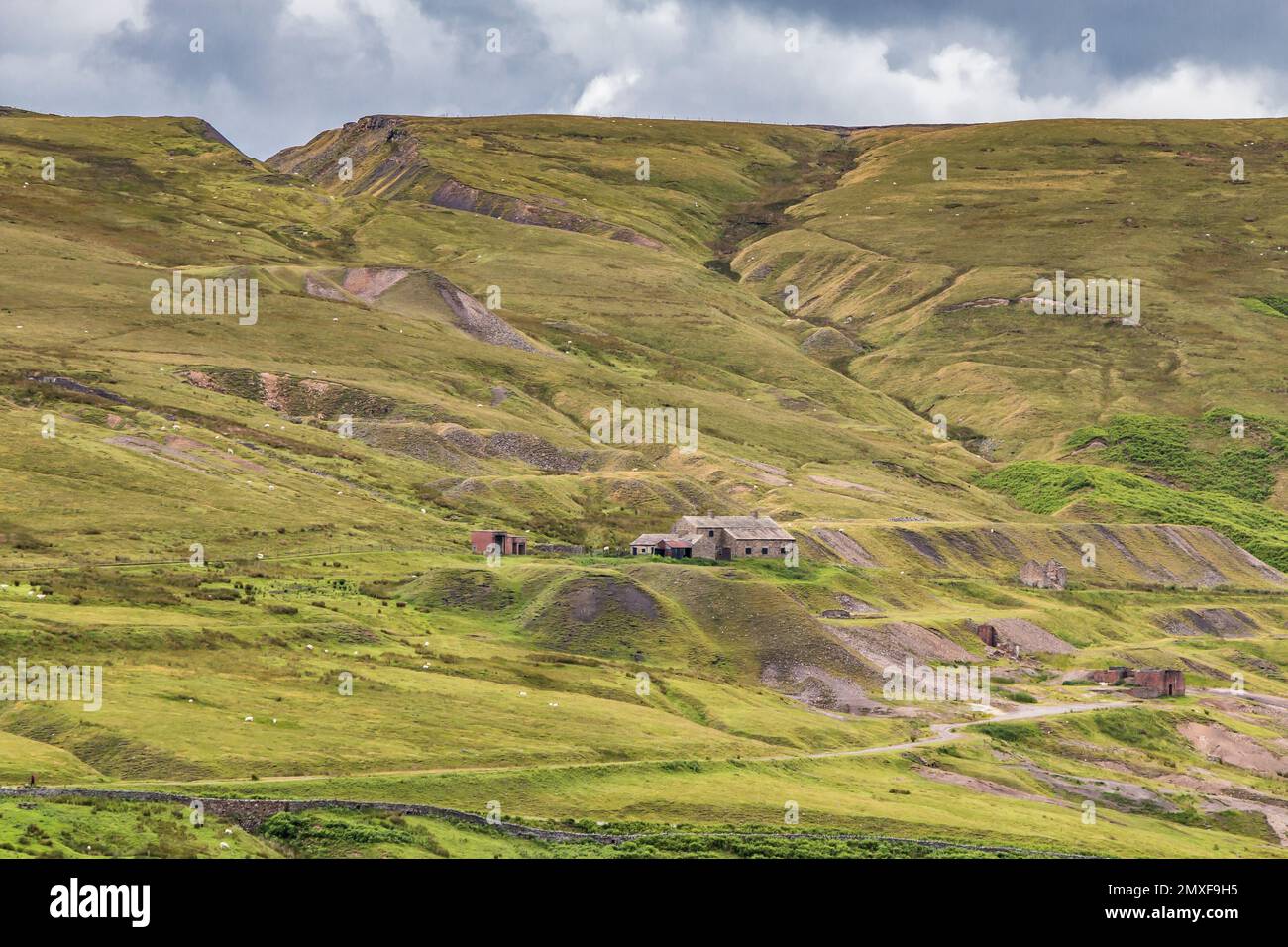 North pennines coldberry hi-res stock photography and images - Alamy
