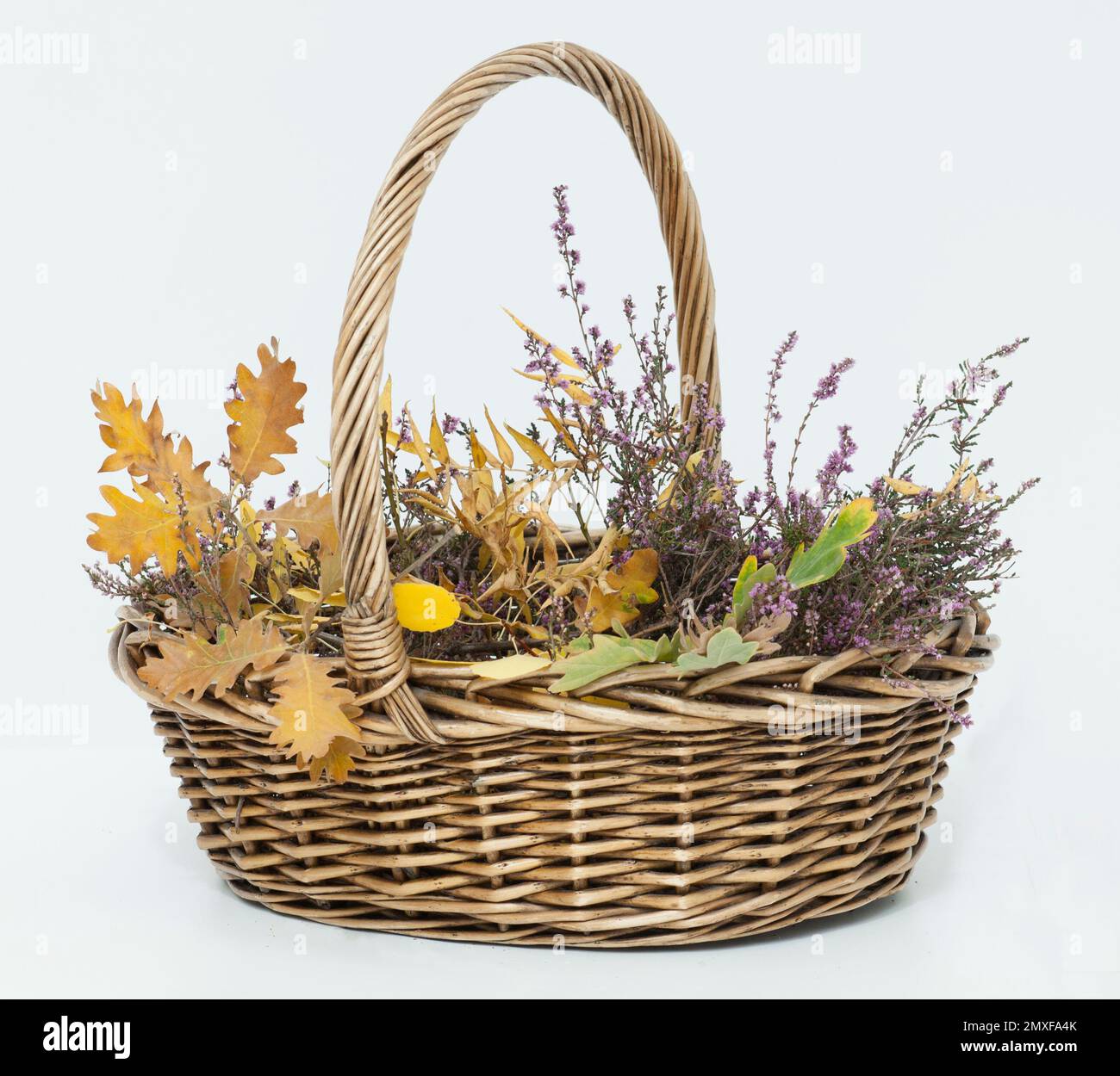 Autumn leaves basket hi-res stock photography and images - Alamy
