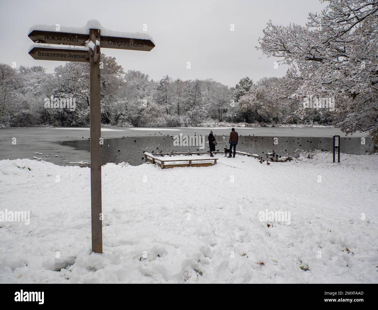 Highams Park, London, Highams Park Lake covered in Ice and Snow, during ...