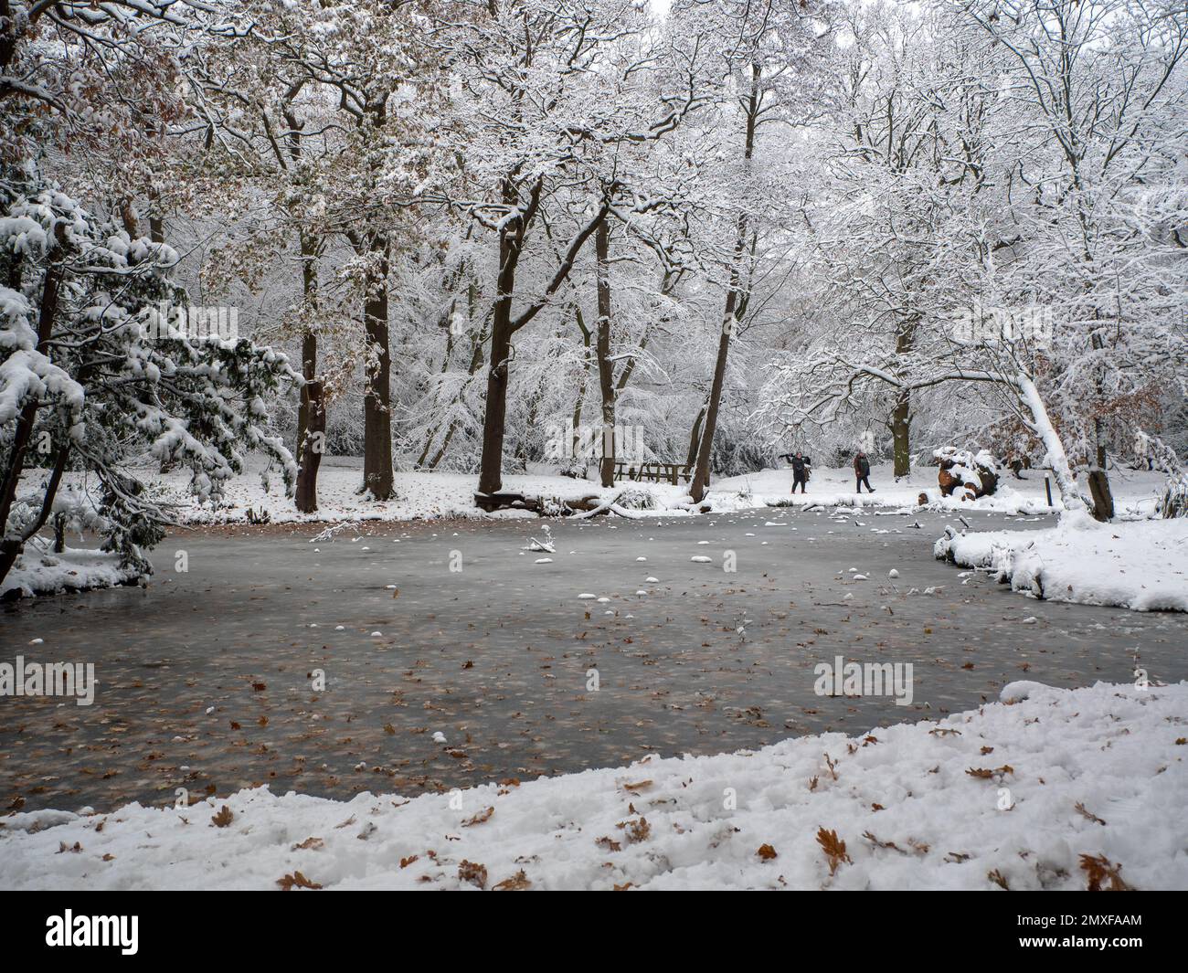 Highams Park, London, Highams Park Lake covered in Ice and Snow, during ...