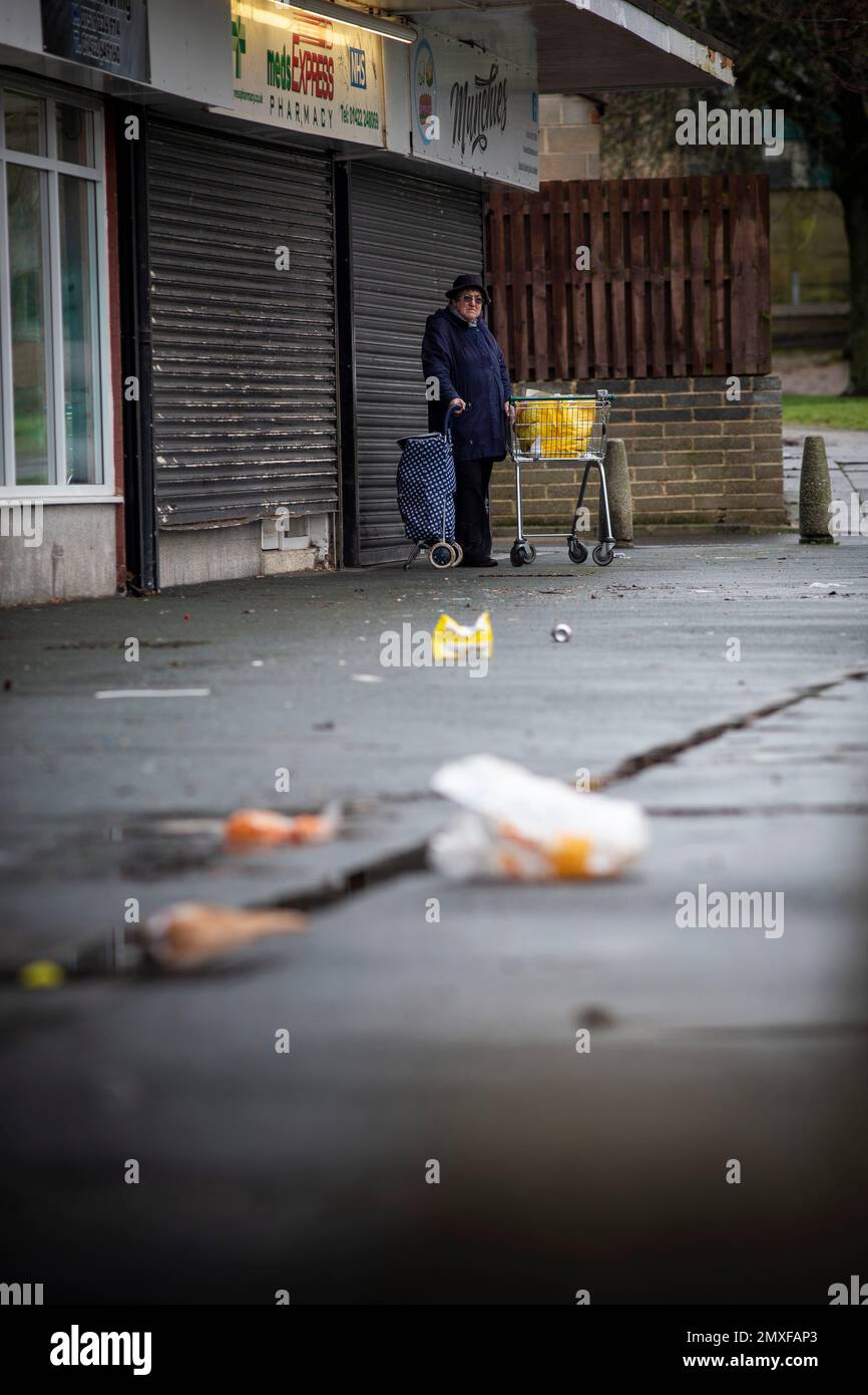 An older lady with a shopping trolley and pull along shopping basket ...