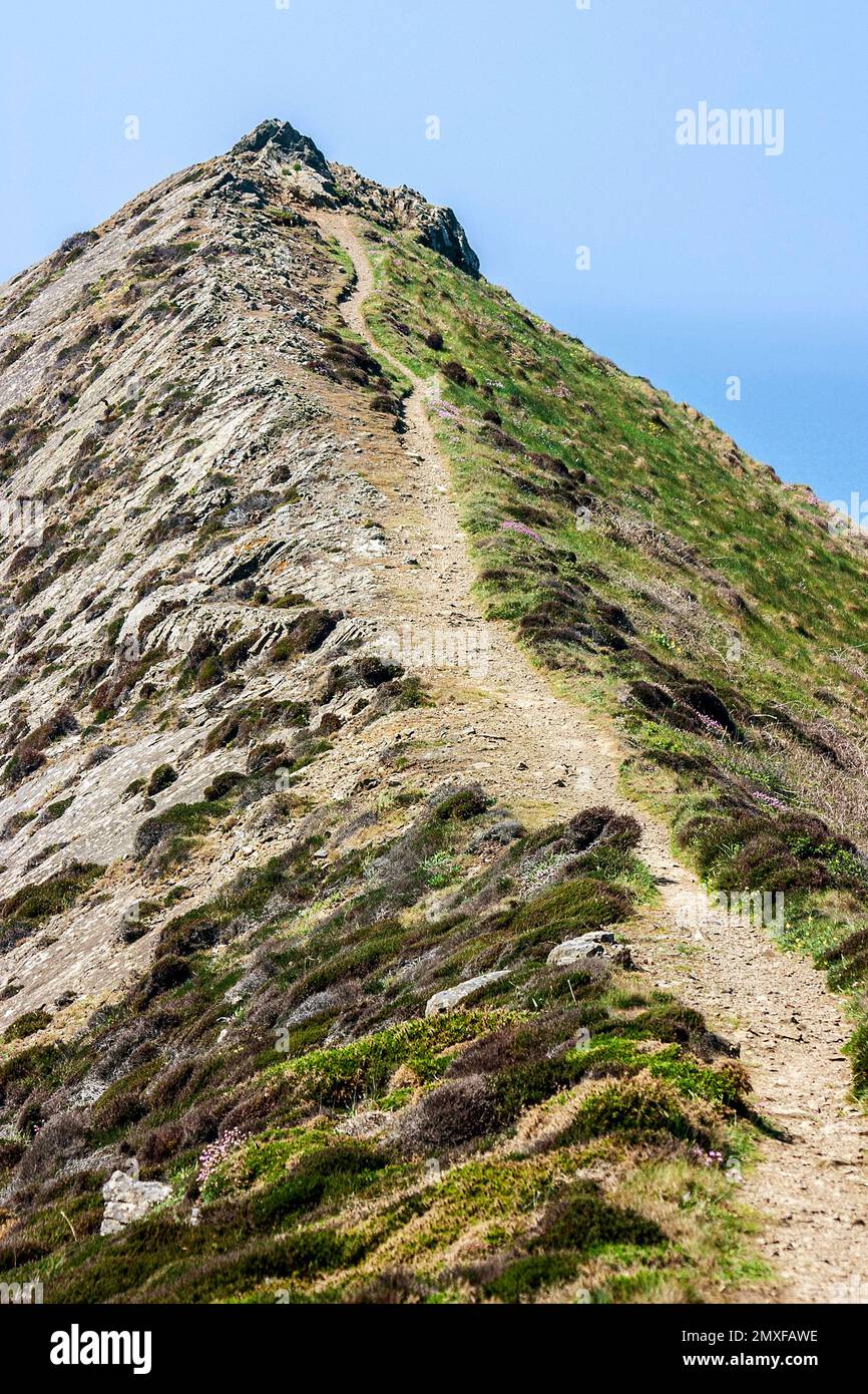 rough path up Pentire point cornish coastall outcrop.Path up cornish ...
