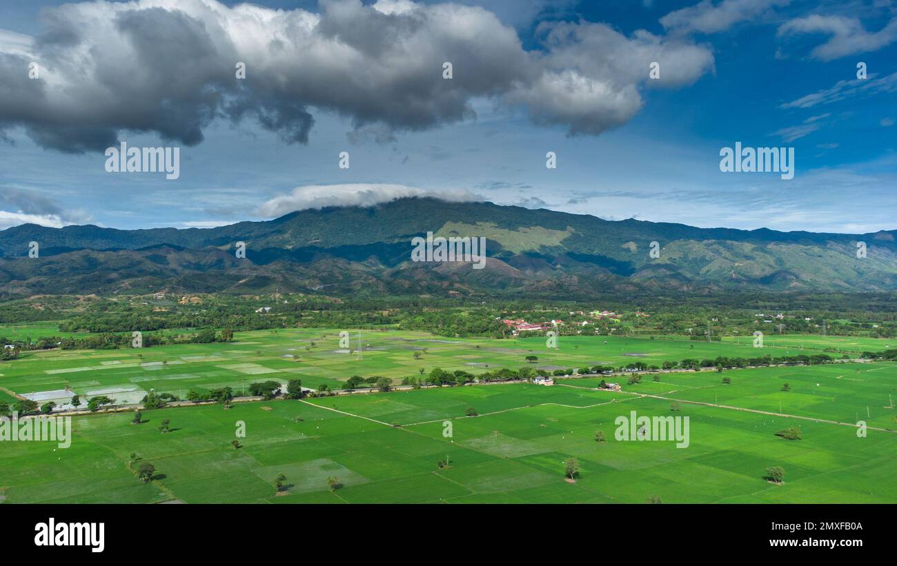 High angle view of rice field and hill Stock Photo - Alamy