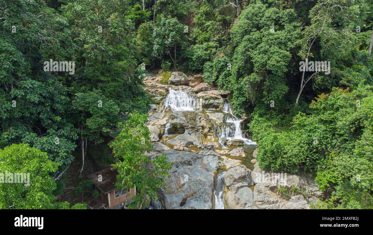 Tropical forest river hi-res stock photography and images - Alamy