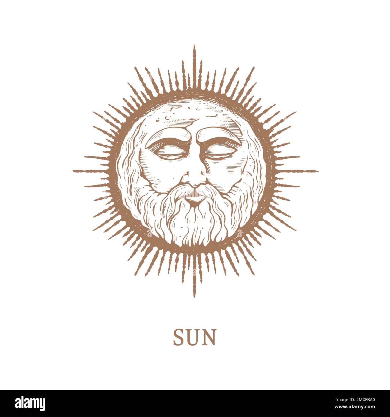 Sun in engraving style. Sun Vector Stock Vector Image & Art - Alamy