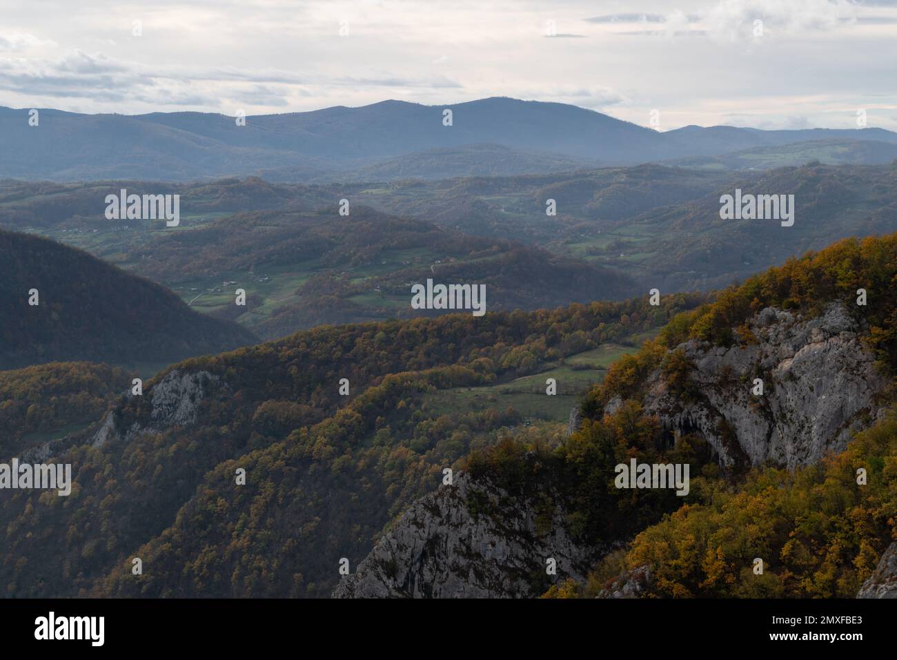 Manjaca hi-res stock photography and images - Alamy