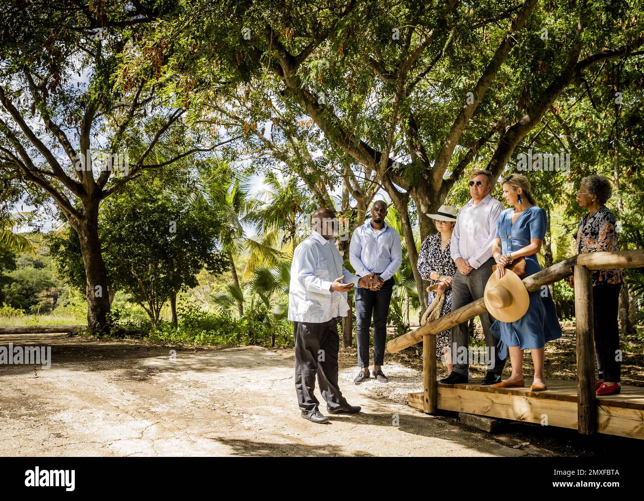 Planta de alexander hi-res stock photography and images - Alamy