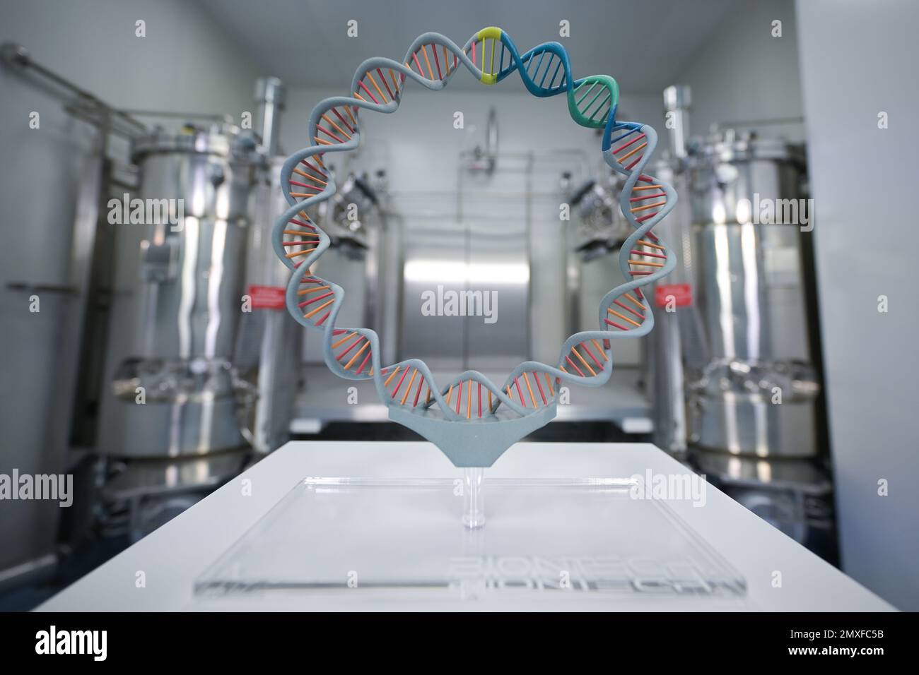 Plasmid dna hi-res stock photography and images - Alamy