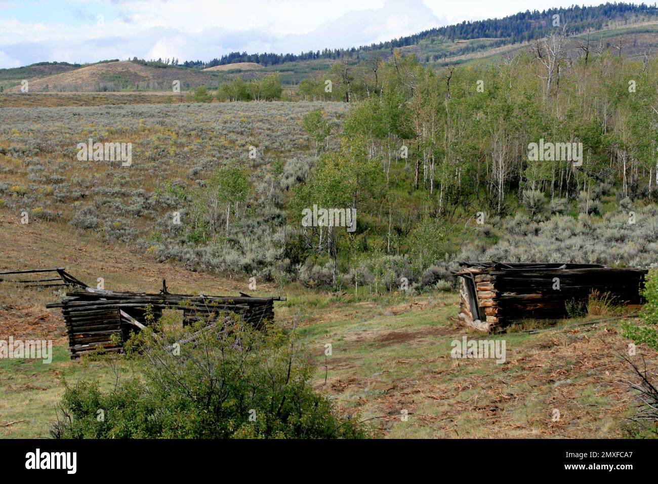 Rundown wooden homestead building hi-res stock photography and images ...