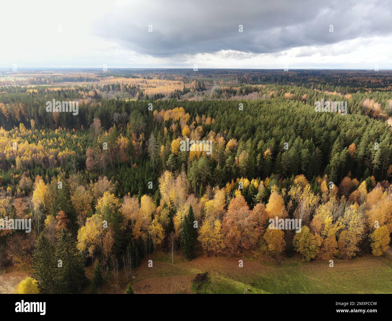 Aerial view of a landscape with vast forests in autumn Stock Photo - Alamy