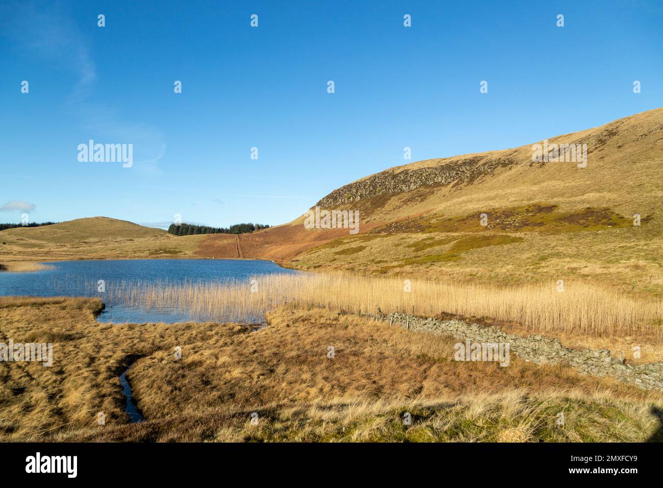 The cleish hills hi-res stock photography and images - Alamy