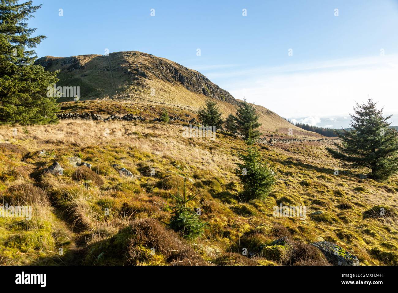 Cleish scotland hi-res stock photography and images - Alamy