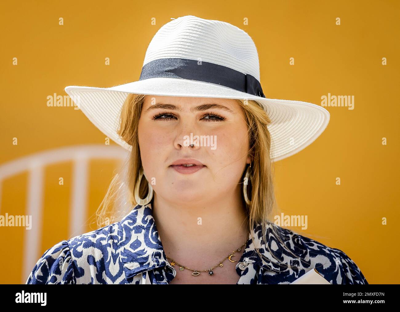 Planta de mango hi-res stock photography and images - Alamy