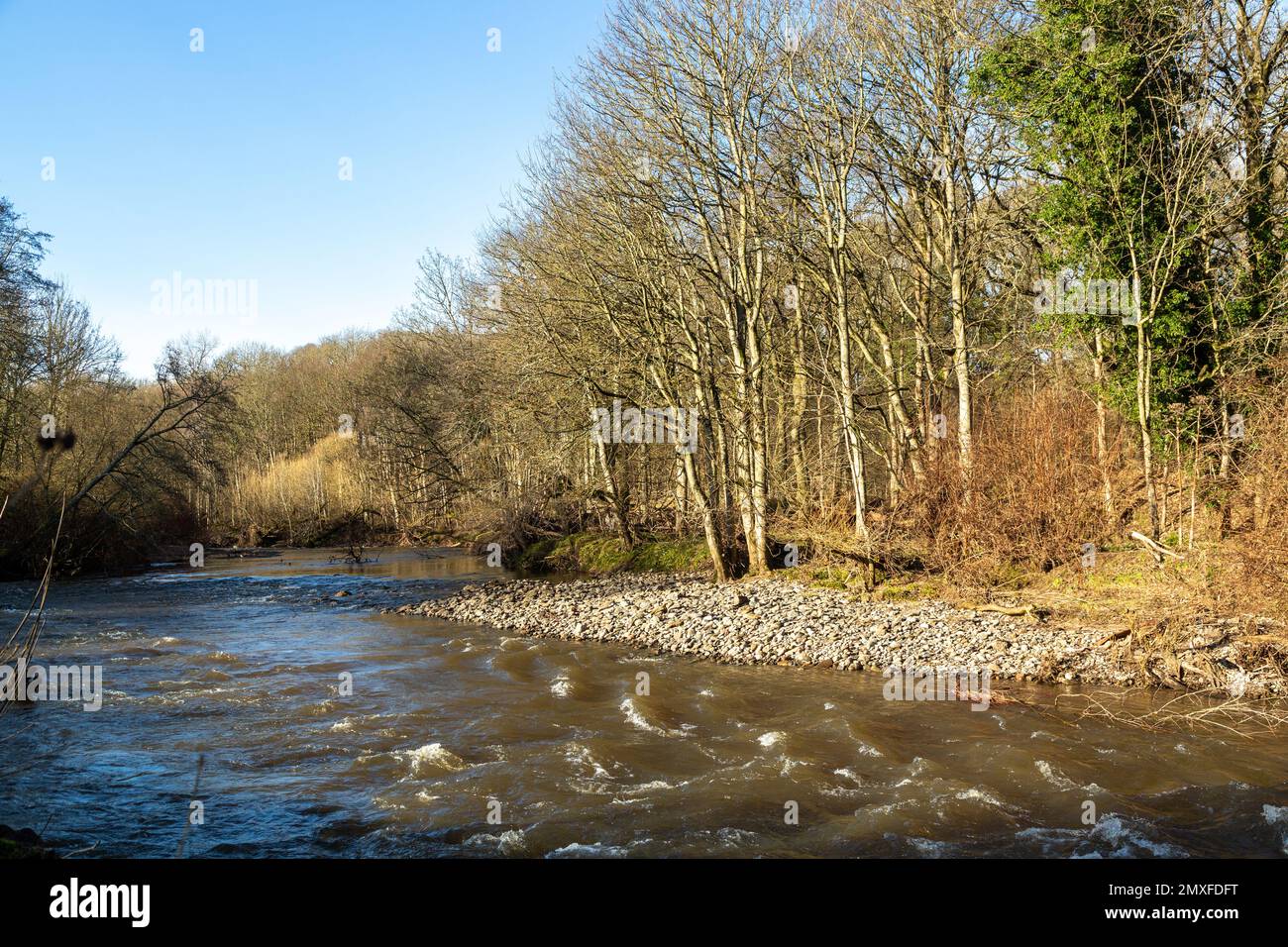 The River Almond near the city of Perth, Scotland Stock Photo - Alamy