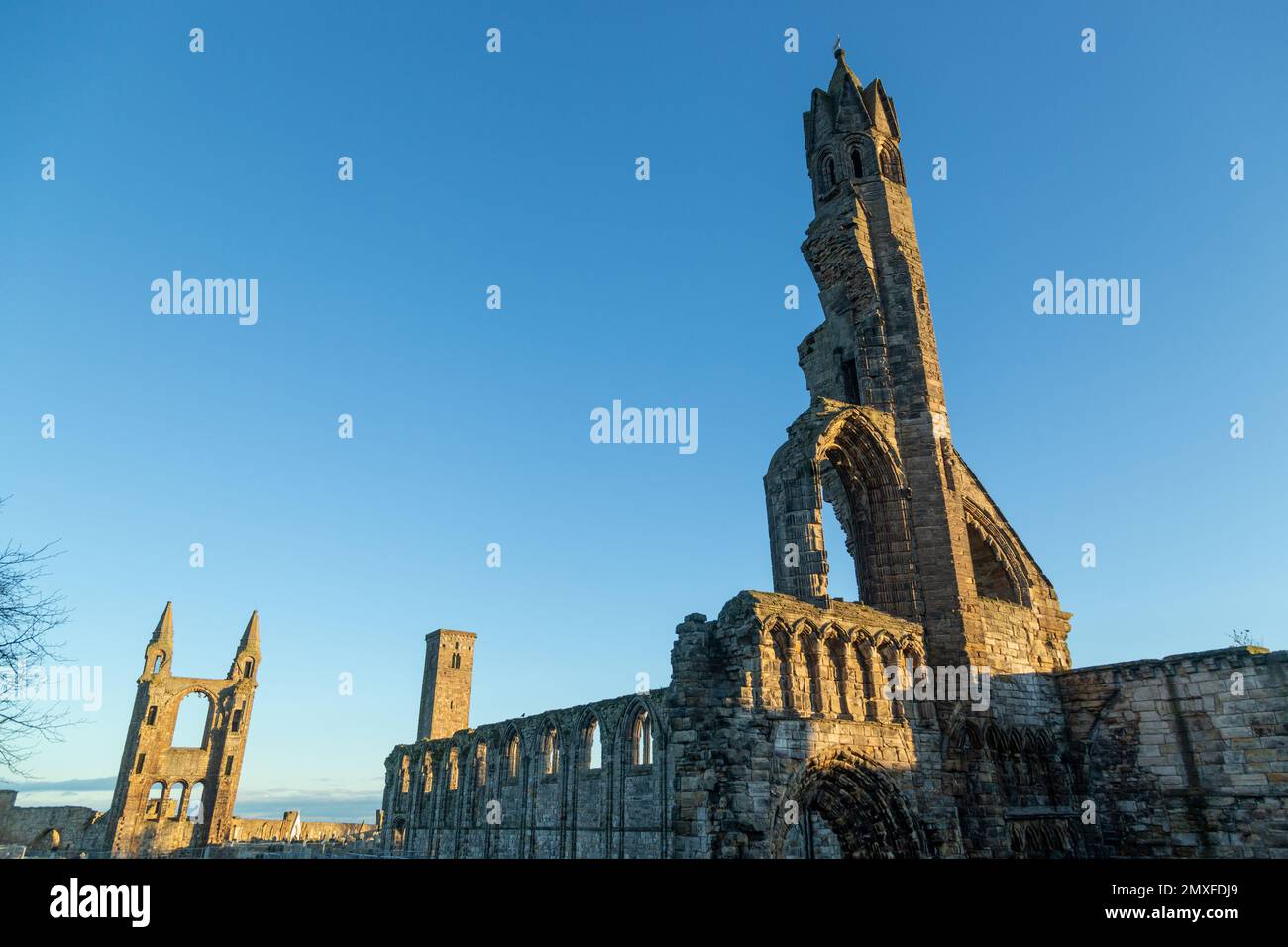 St Andrews Cathedral Stock Photo - Alamy