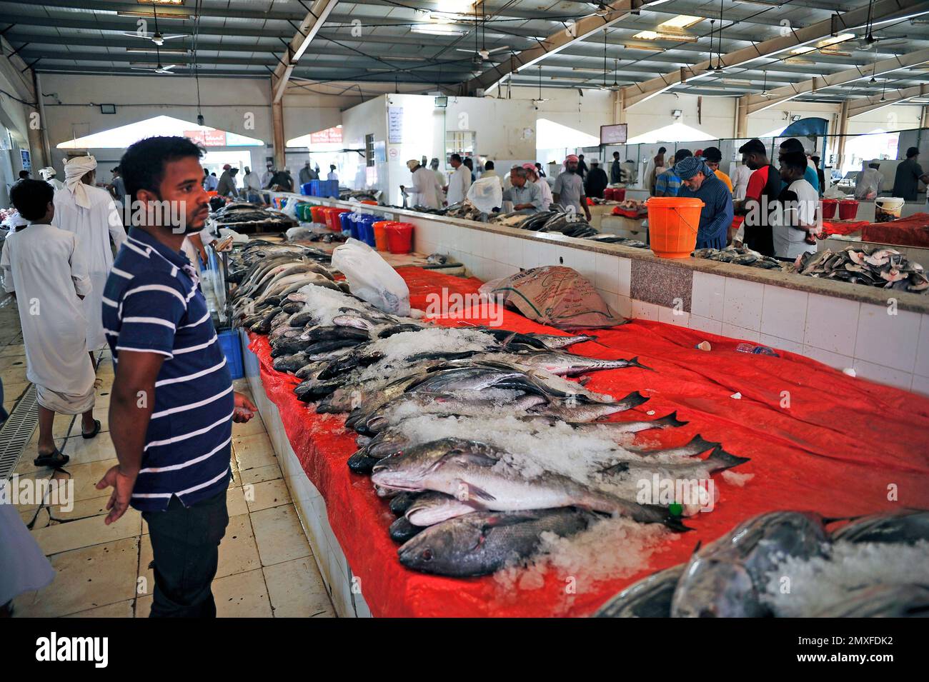 Oman fish market mutrah hi-res stock photography and images - Alamy