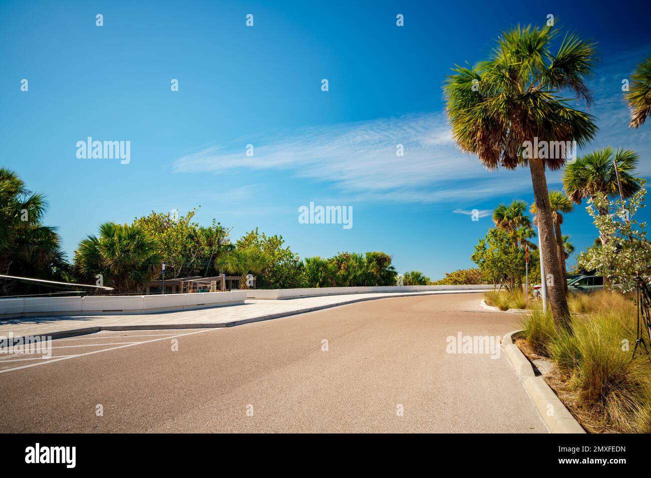 Long exposure photo of Siesta Key Beach scene with motion blur in trees ...
