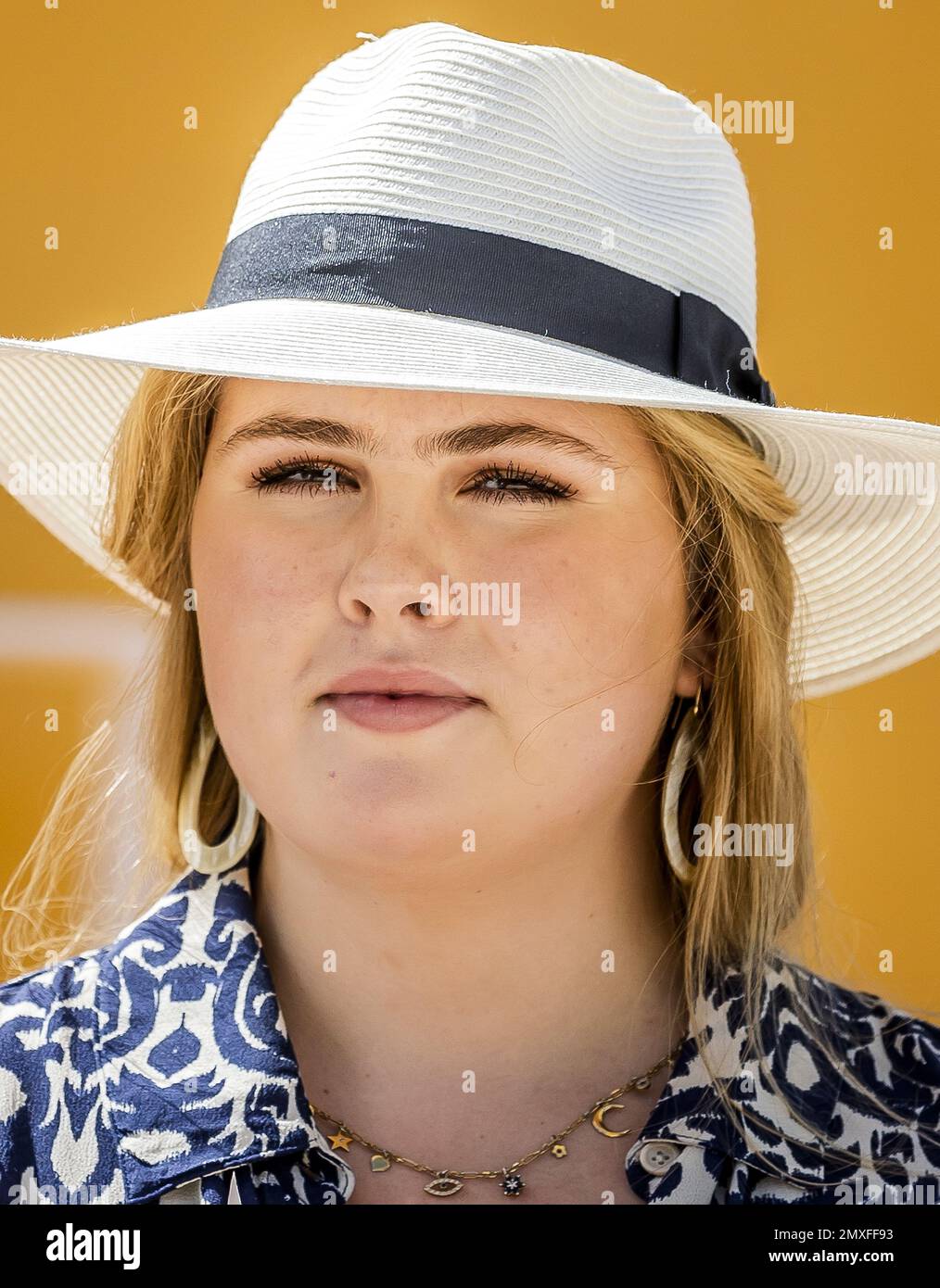 Planta de mango hi-res stock photography and images - Alamy