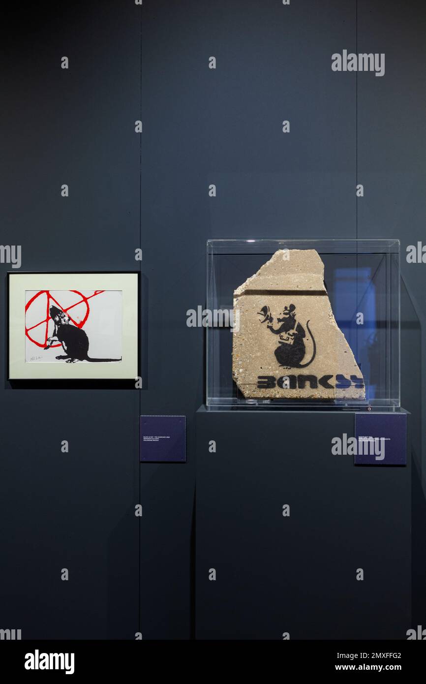 Trieste, Italy - January 21, 2023: Artworks titled Radar rat on ...