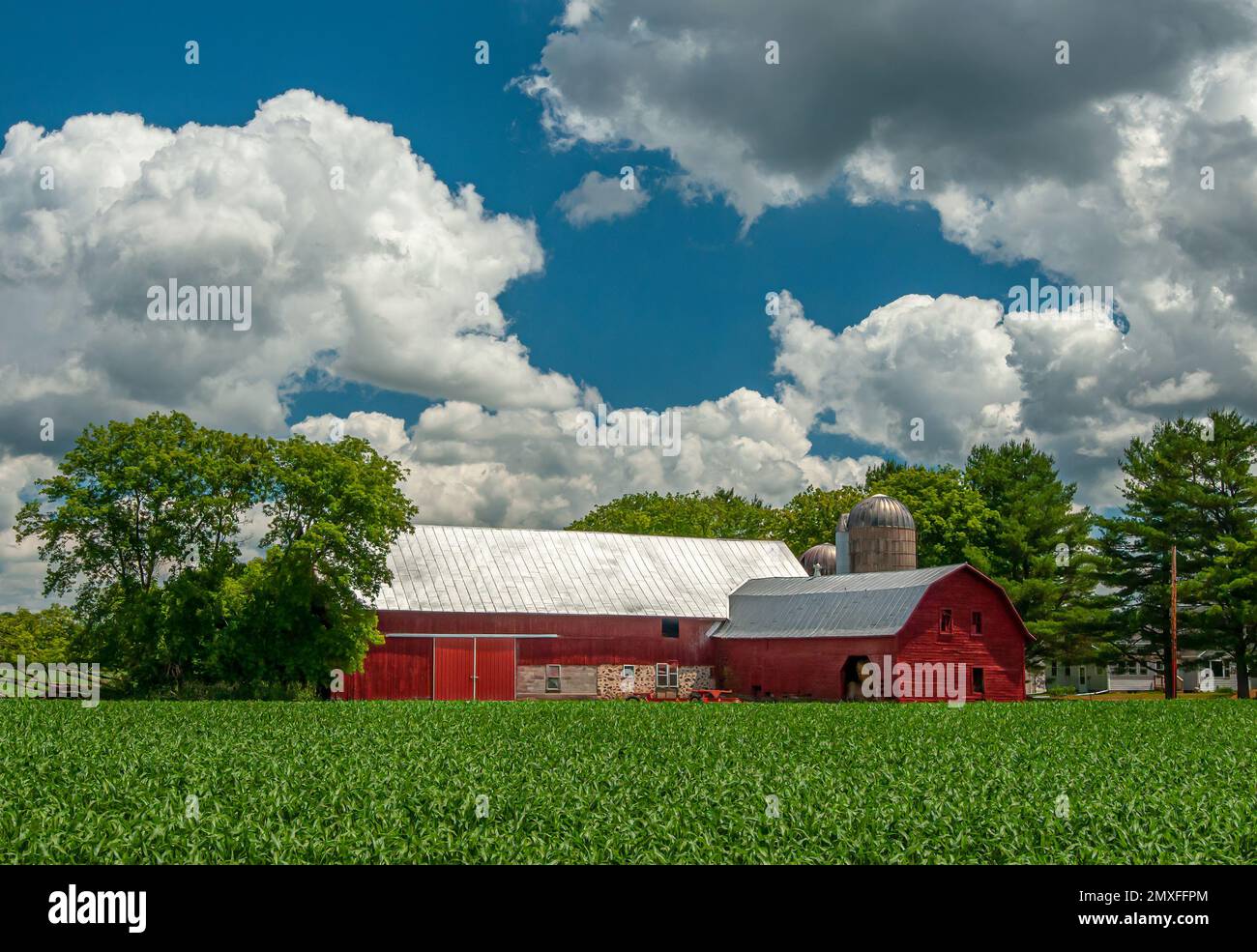 Late summer and the corn crop looks good in front of this beautifully ...