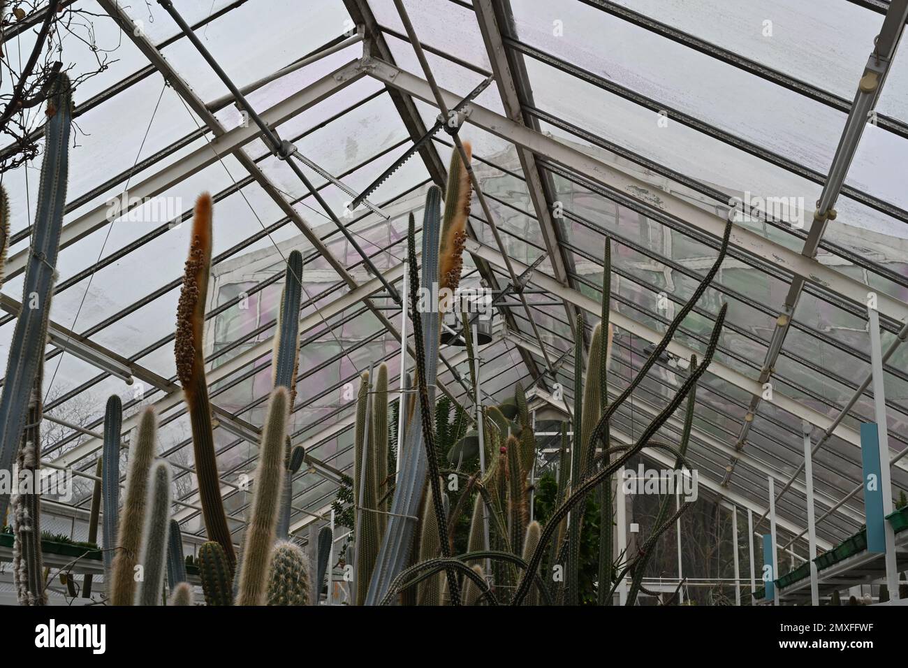 Greenhouse with saddle roof hi-res stock photography and images - Alamy