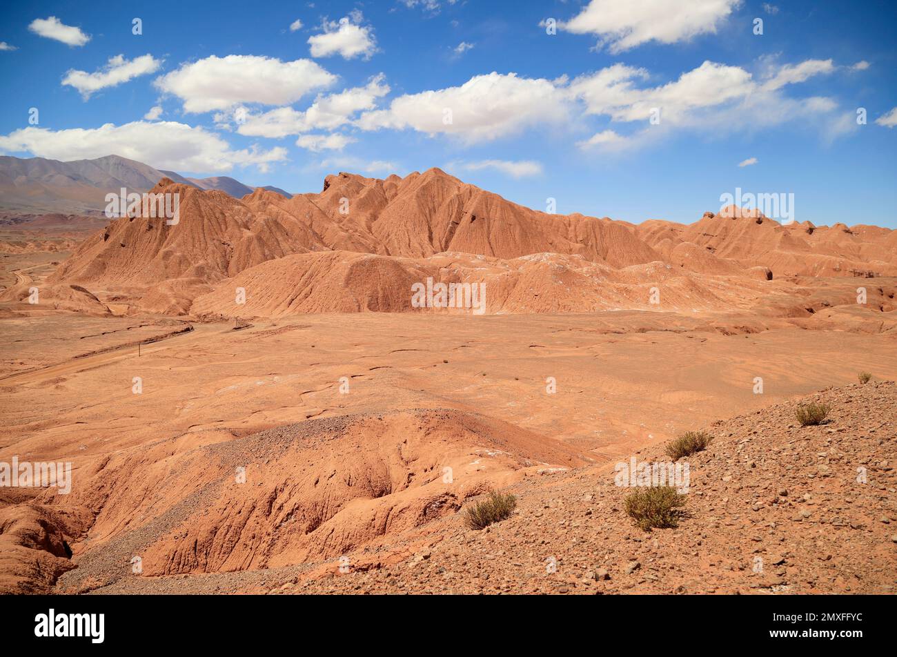 The clay formations of the Labyrinth desert in the Puna of Argentina ...