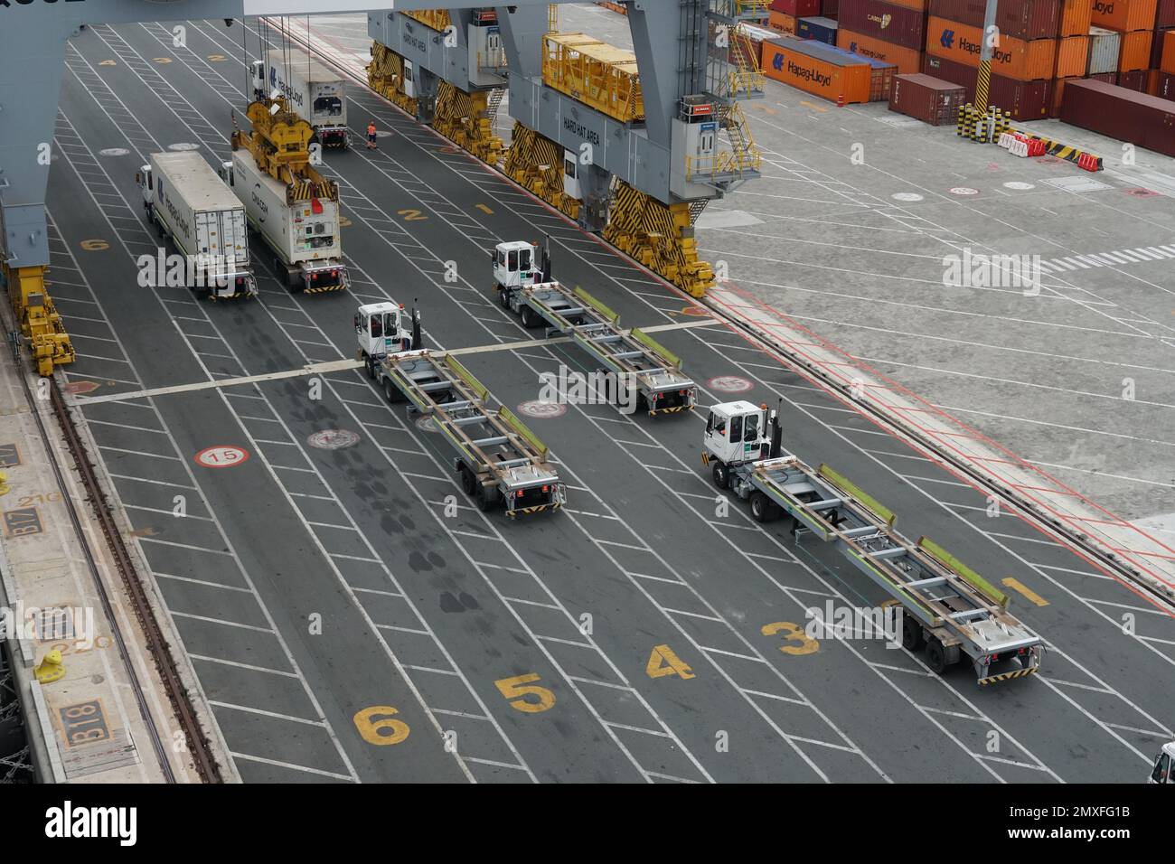 Tracks or lorries in lines with numbers are waiting below gantry cranes ...