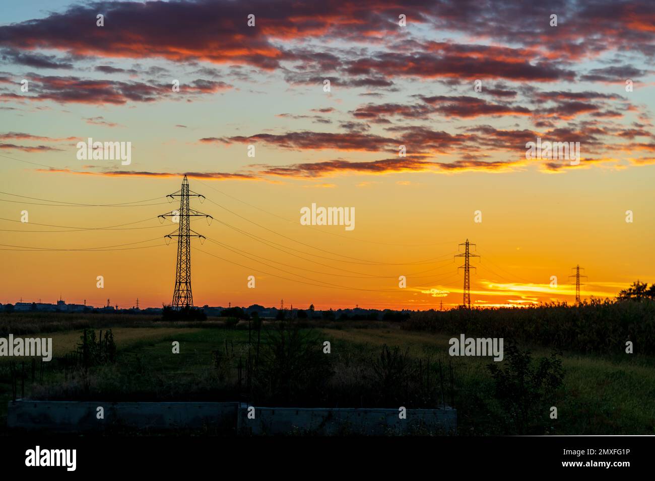 Detail of electric pole with electric cables and crop fields Stock ...