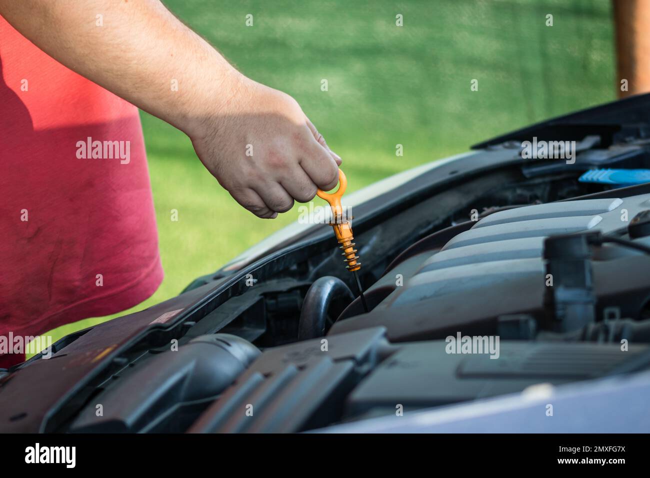Car mechanic checking the engine oil level Stock Photo - Alamy