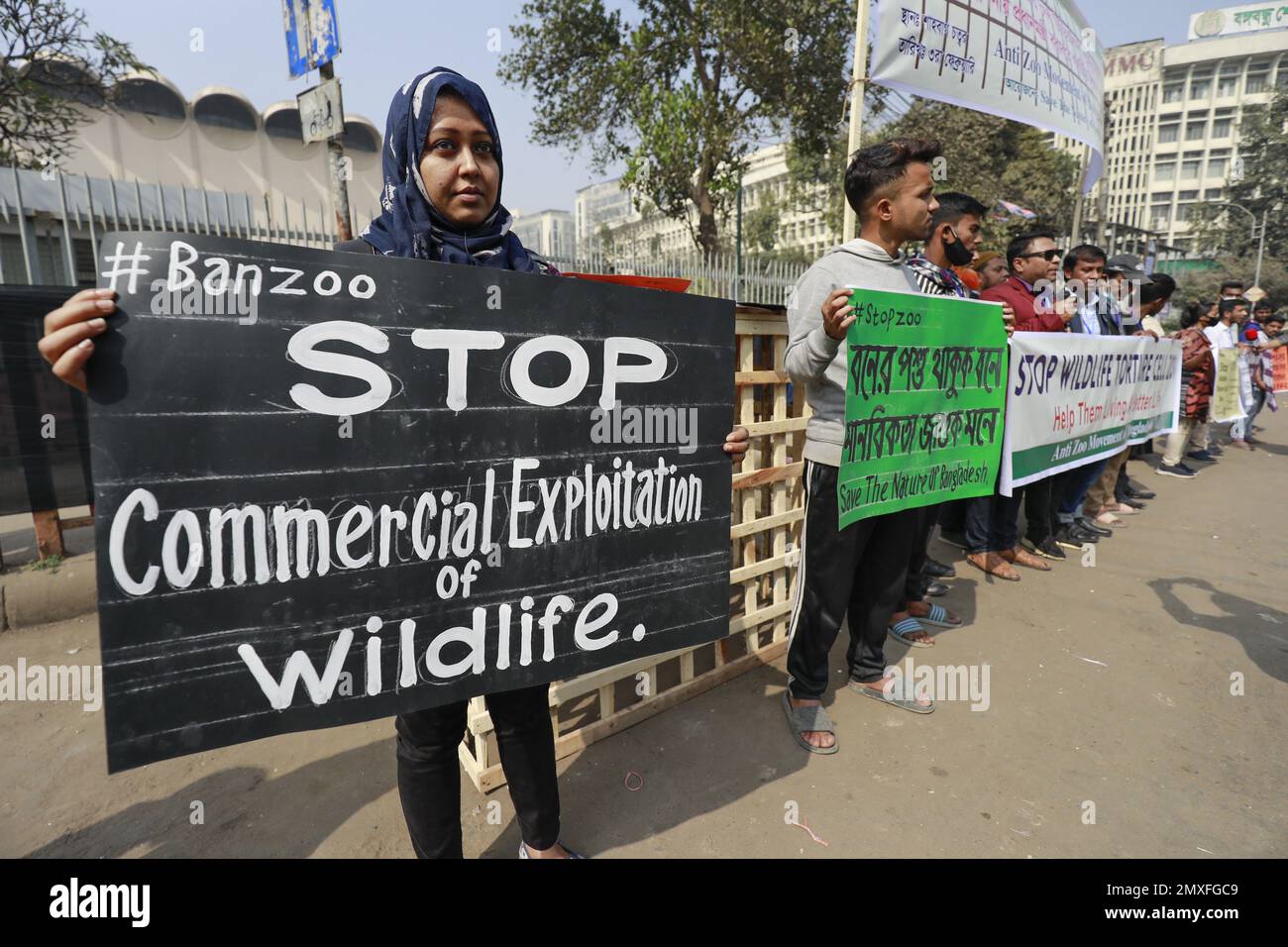 Dhaka, Bangladesh. 03rd Feb, 2023. Anti-zoo campaigners stage a protest ...