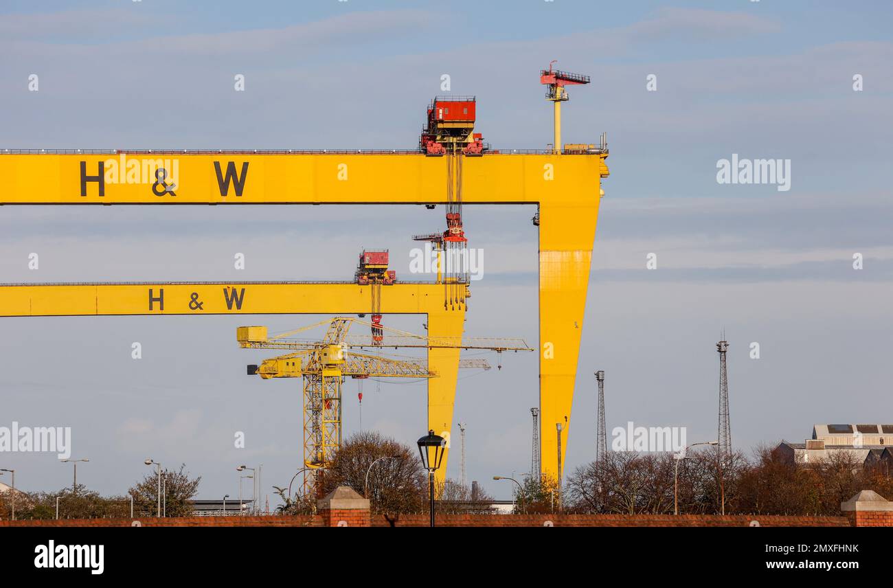 H&W Belfast cranes. Famous yellow shipyard cranes Goliath and Samson ...