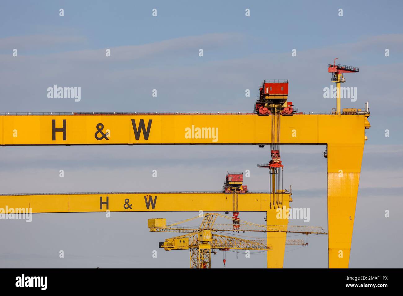 H&W Belfast cranes. Famous yellow shipyard cranes Goliath and Samson ...