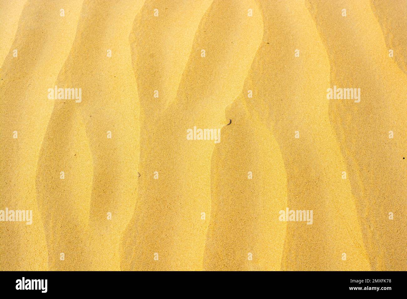 Rippled texture of golden sand Stock Photo - Alamy