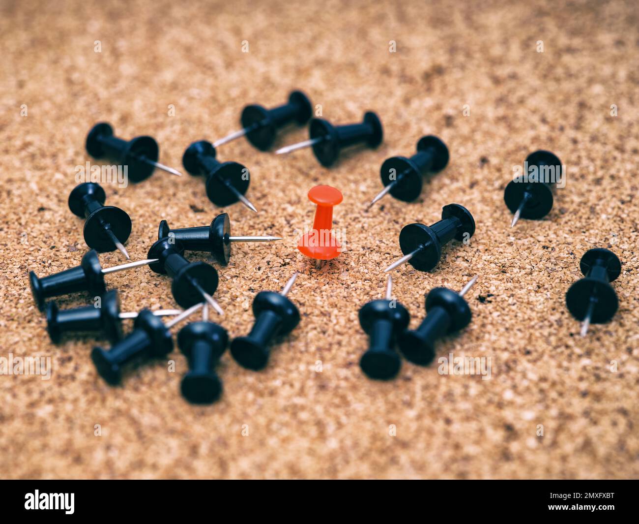 One red pin in the middle of black ones on a cork board. Close up Stock ...
