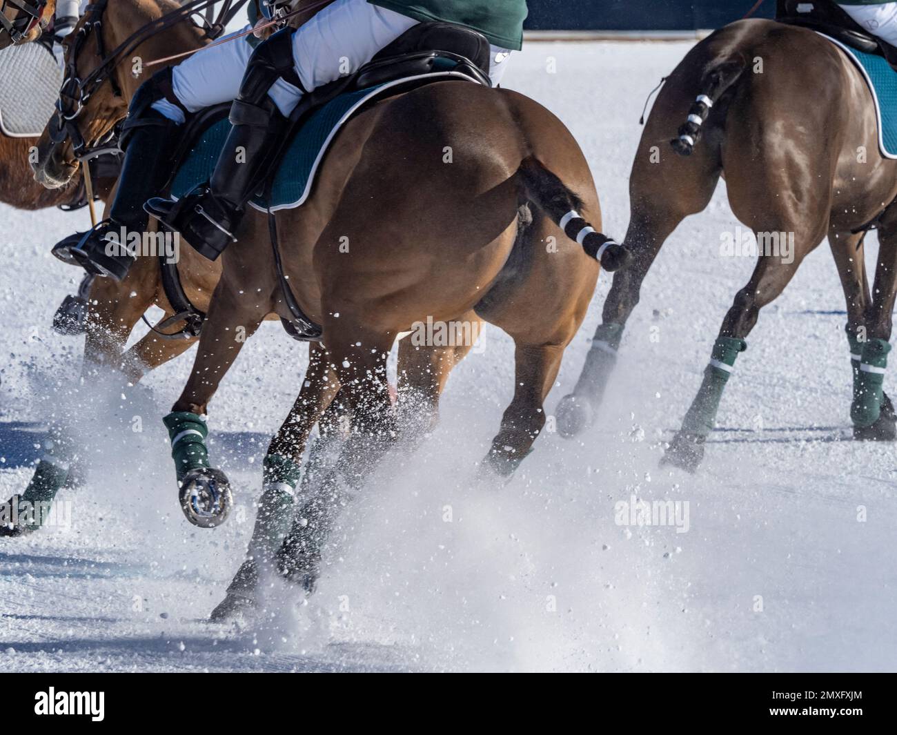 Snow Polo details pictures from a match Stock Photo - Alamy
