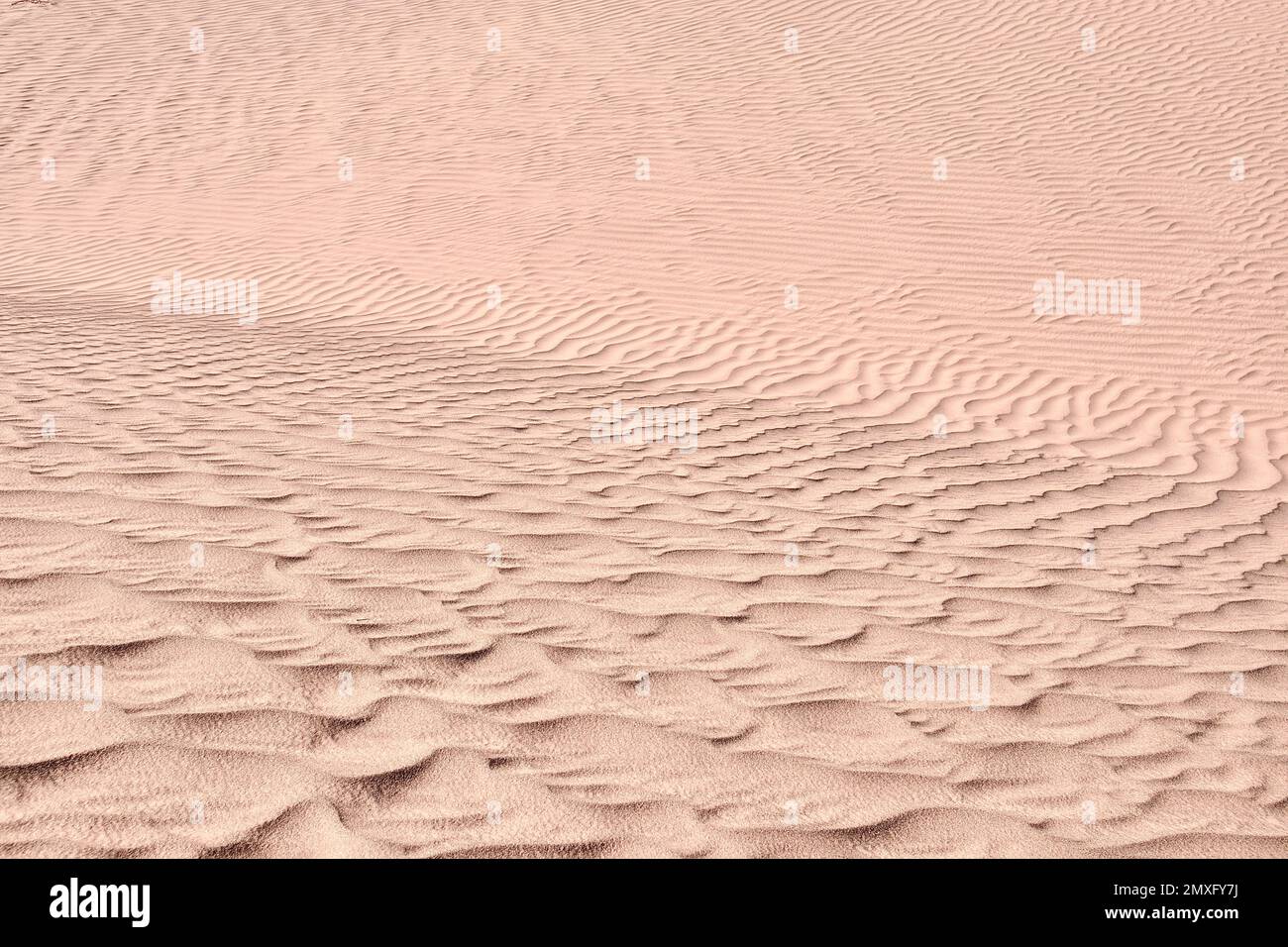 A daytime view of the sand dunes in a desert Stock Photo - Alamy