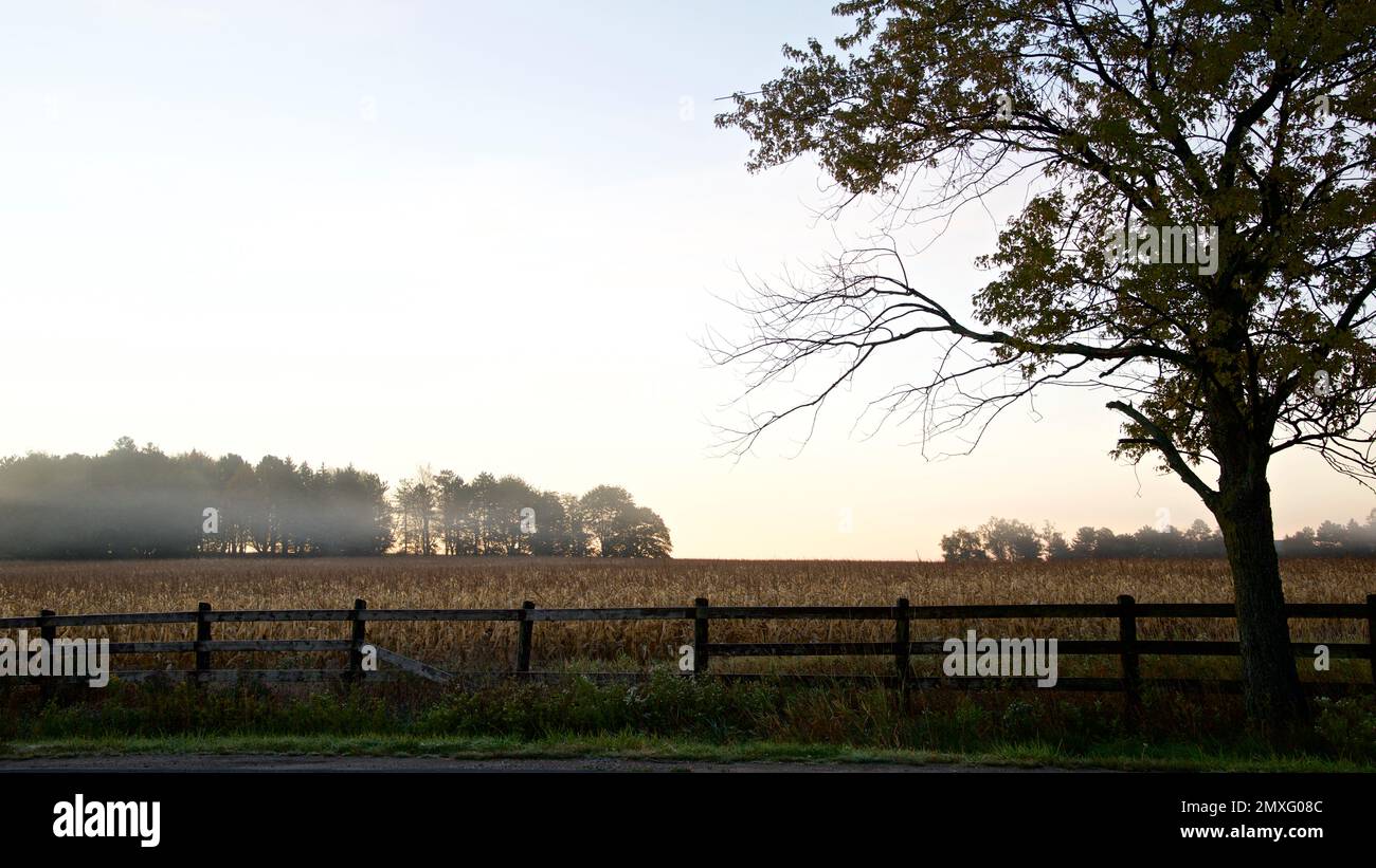 Farm morning silhouette hi-res stock photography and images - Alamy