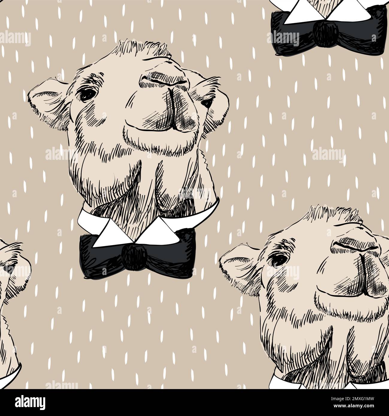 Cute camel cartoon line Stock Vector Images - Alamy