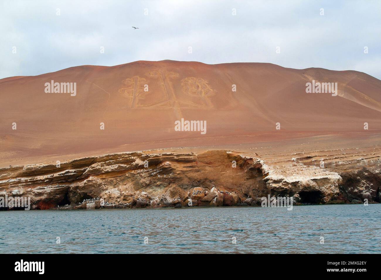 Candelabra of the Andes on Paracas Peninsula, Peru Stock Photo - Alamy